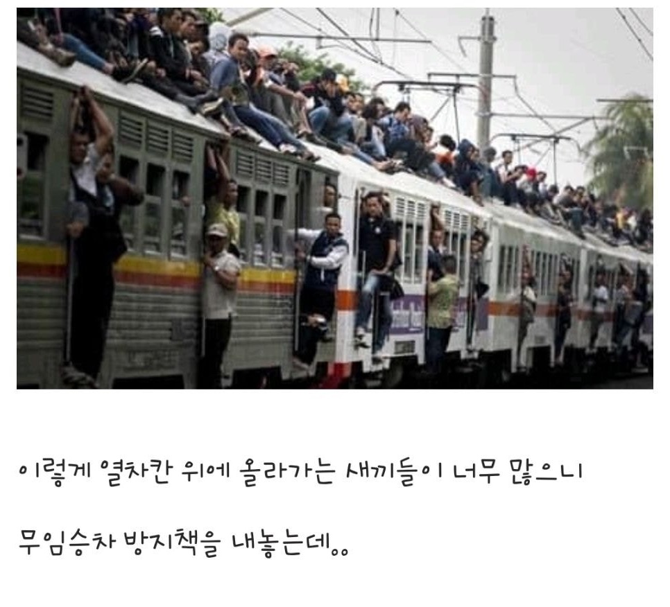 인도네시아식 무임승차 방지 - 에누리 쇼핑지식 자유게시판