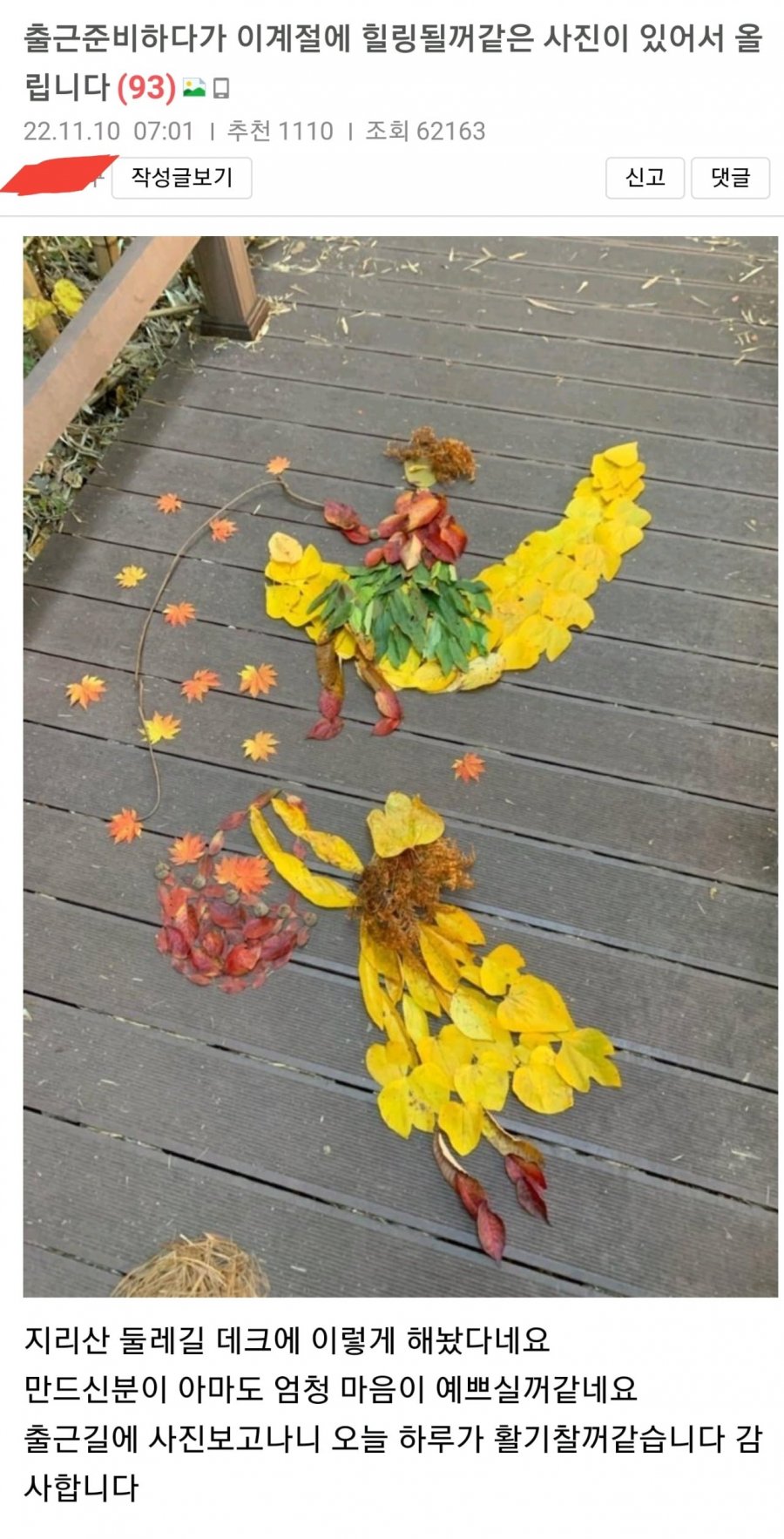 청년의꿈 - 낙엽으로 만든 작품