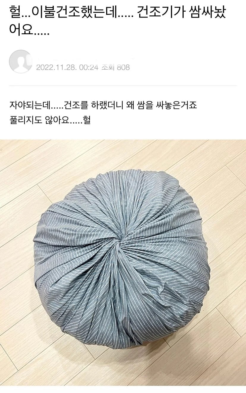 건조기 만두 - 에누리 쇼핑지식 자유게시판