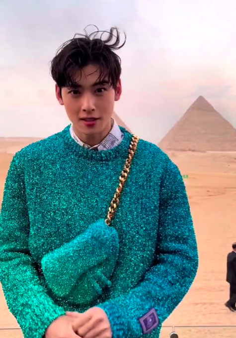 이집트에 간 차은우 - 에누리 쇼핑지식 자유게시판