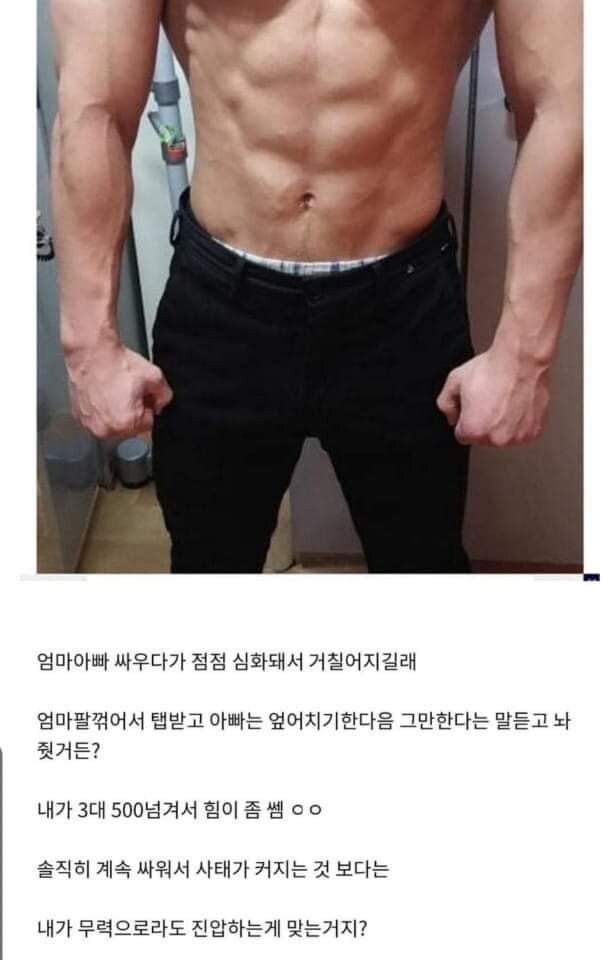 부부싸움을 무력진압하는 효자 - 에누리 쇼핑지식 자유게시판
