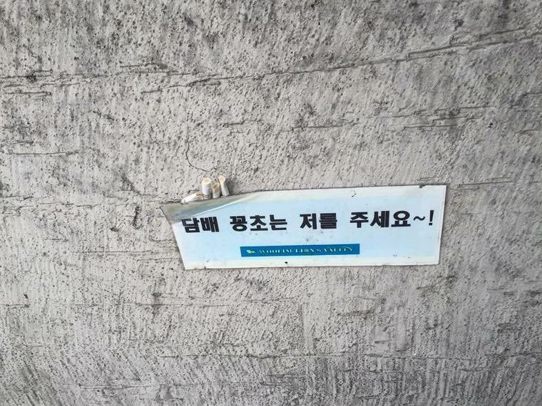 담배꽁초는 저를 주세요 - 에누리 쇼핑지식 자유게시판