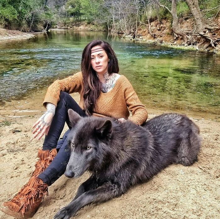 사람과 울프독의 머리 크기 차이 - 에누리 쇼핑지식 자유게시판