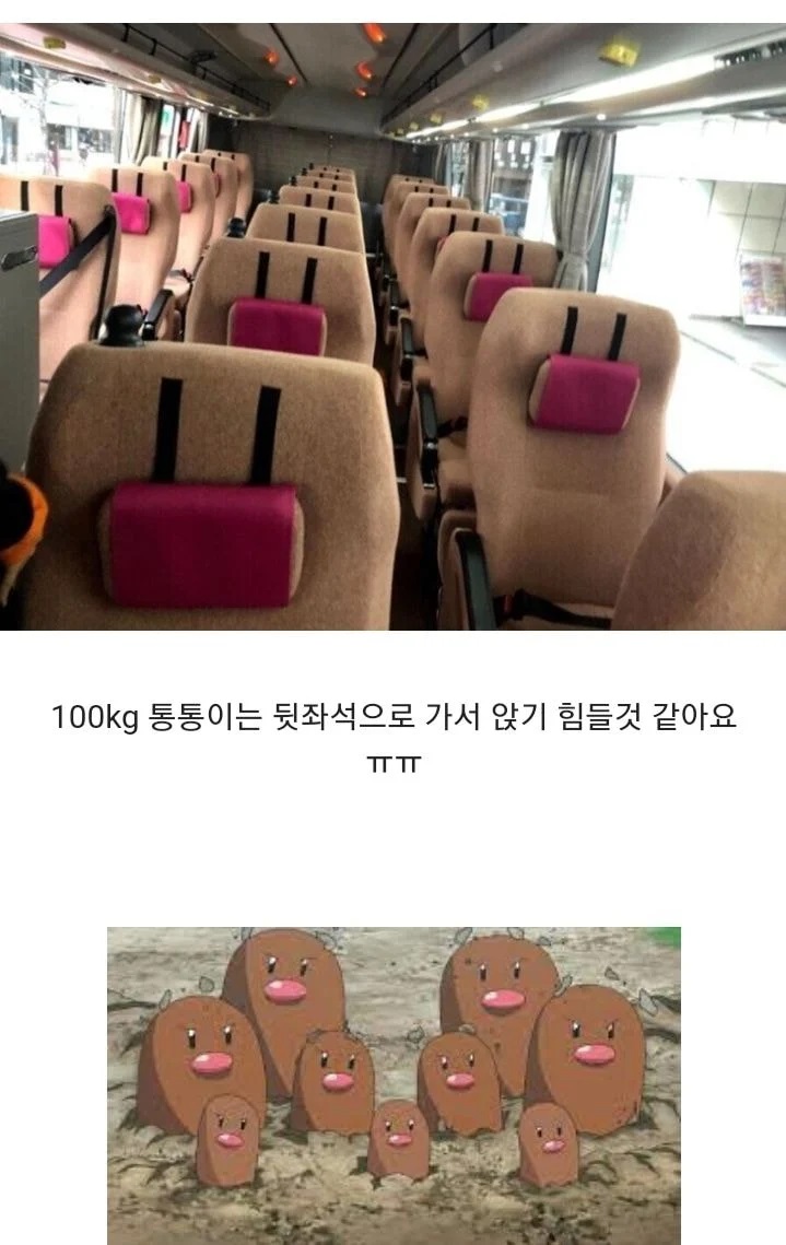 뭔가 귀여운 버스 좌석 - 에누리 쇼핑지식 자유게시판