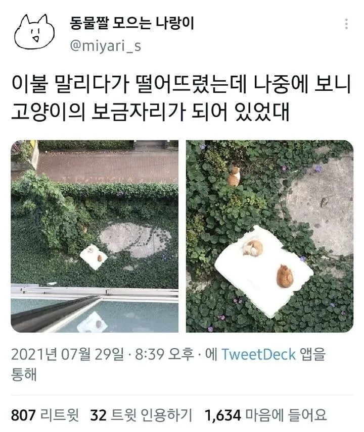 베란다에서 떨어진 이불 - 에누리 쇼핑지식 자유게시판