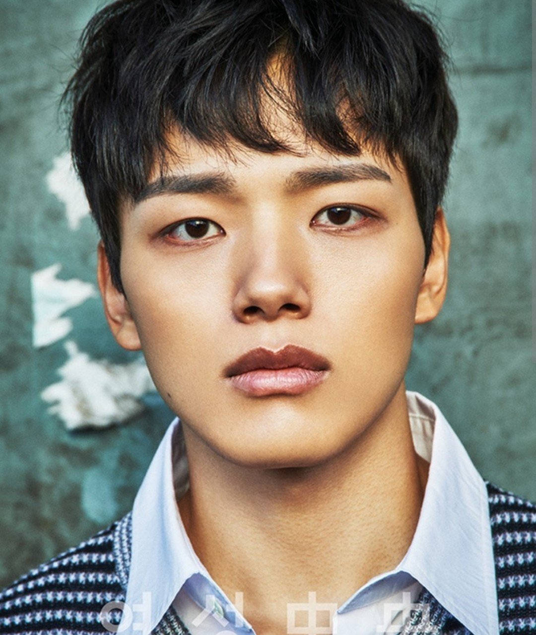 곽튜브 은근 이사람 닮지 않음? - 에누리 쇼핑지식 자유게시판