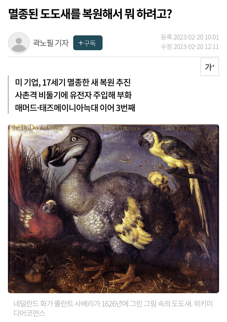멸종된 도도새를 복원하는 이유 - 에누리 쇼핑지식 자유게시판