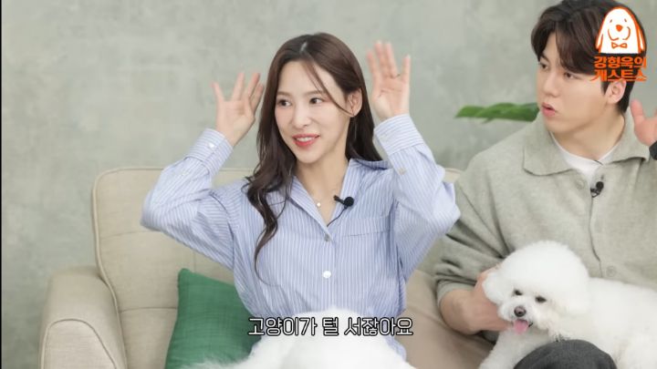 고양이한테 정말 노관심인 강형욱 훈련사 에누리 쇼핑지식 자유게시판
