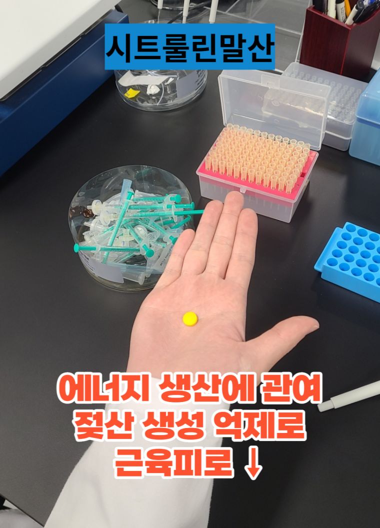 자도 자도 피곤할때 먹는 증상별 영양제 - 에누리 쇼핑지식 자유게시판