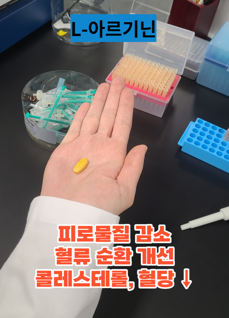 자도 자도 피곤할때 먹는 증상별 영양제 - 에누리 쇼핑지식 자유게시판