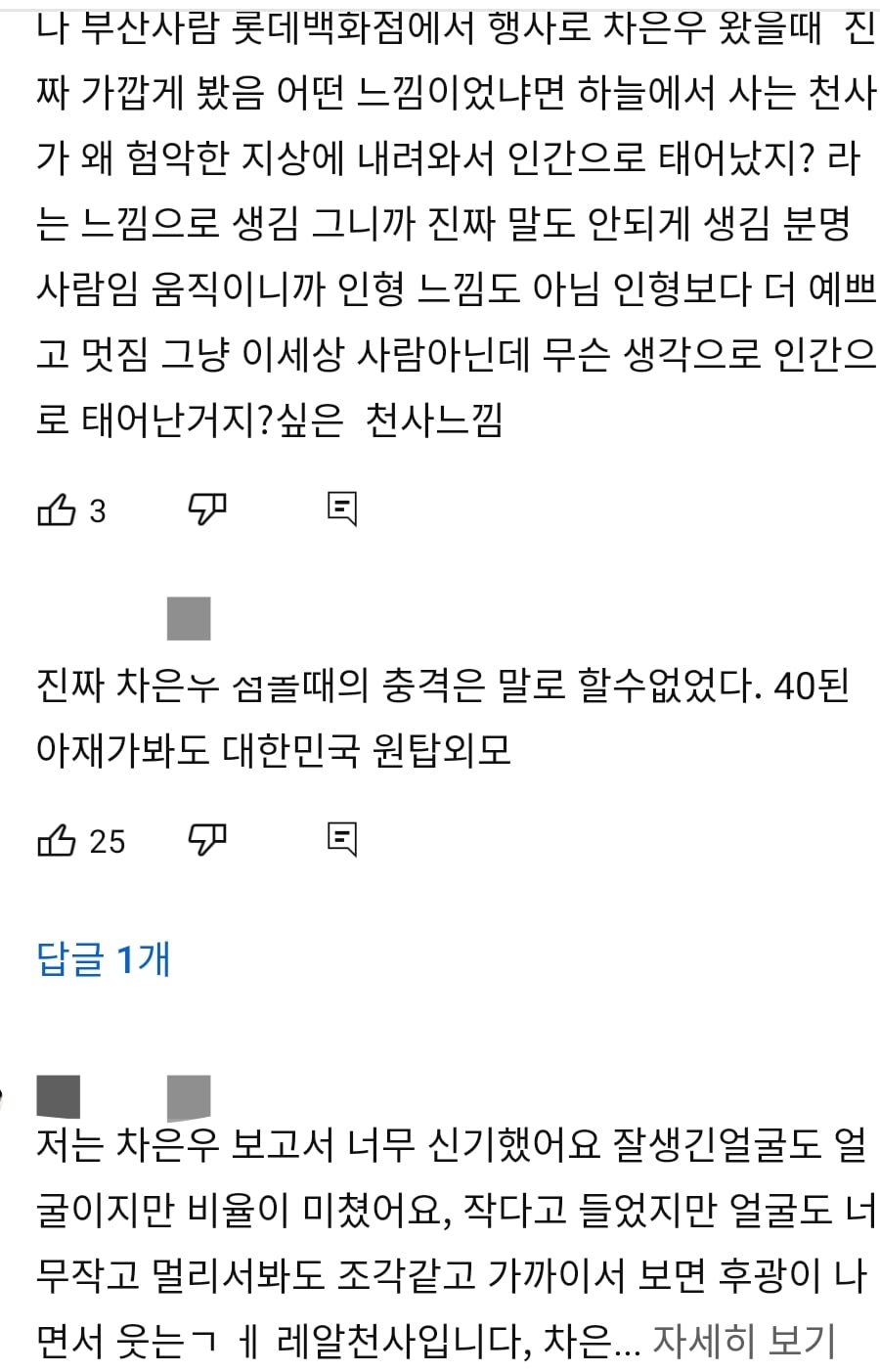 차은후 실물 후기 에누리 쇼핑지식 자유게시판