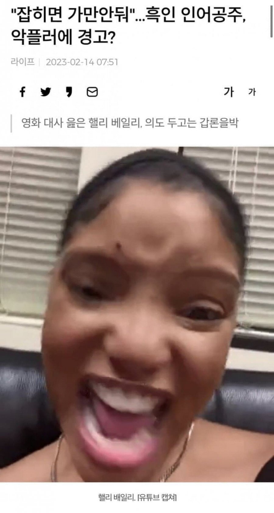 악플러에게 경고한 흑인 인어공주 - 에누리 쇼핑지식 자유게시판