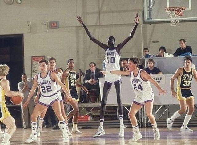 소금쟁이 느낌 - 에누리 쇼핑지식 자유게시판