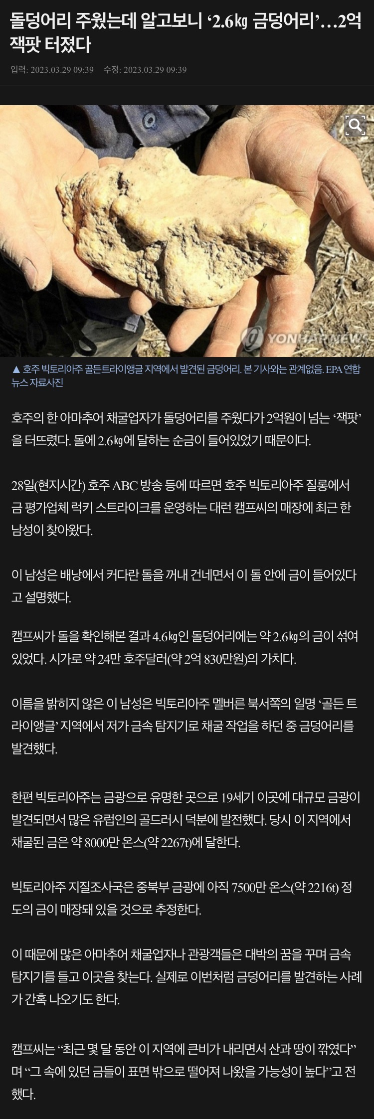 2.6kg 금덩어리 주운 호주 금속탐지기 아마 - 에누리 쇼핑지식 자유게시판