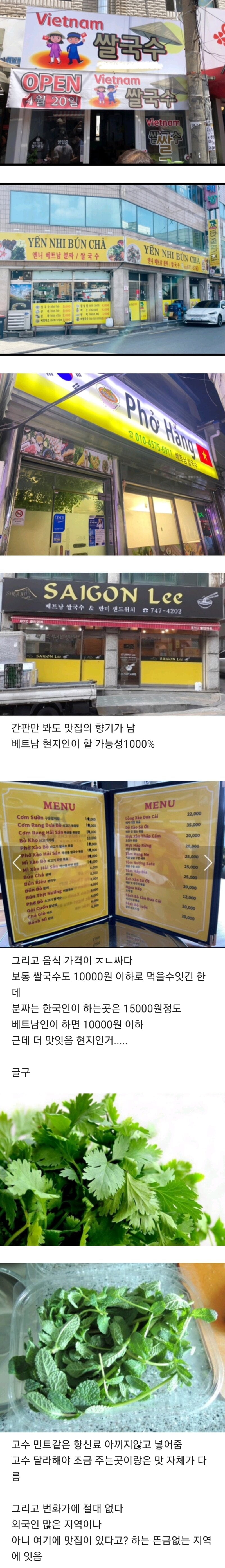 베트남음식점 찐맛집 특 - 에누리 쇼핑지식 자유게시판