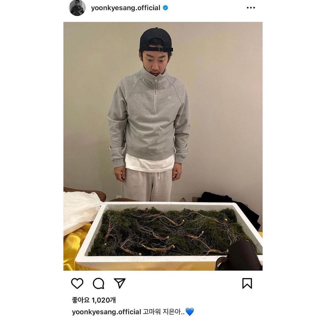 아이유 선물 클라스 - 에누리 쇼핑지식 자유게시판