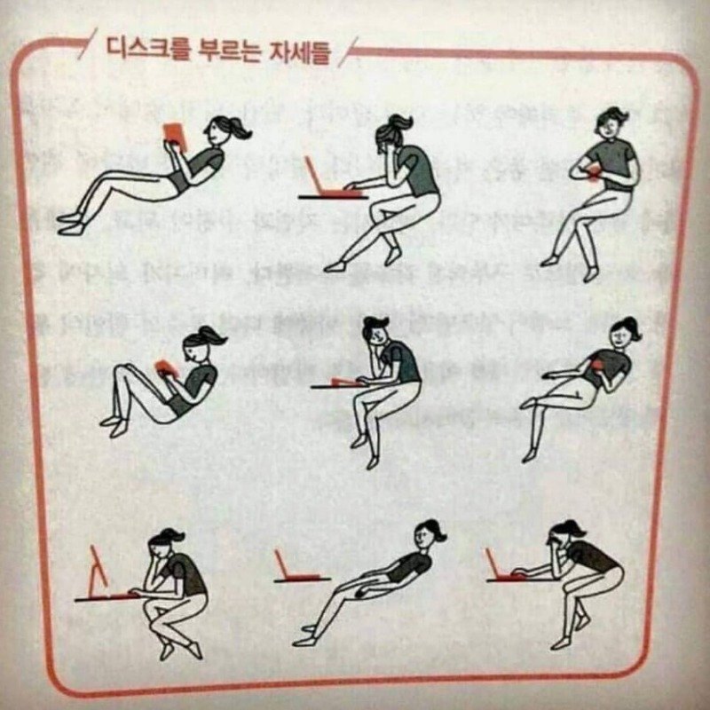 편한 자세 특징 - 에누리 쇼핑지식 자유게시판