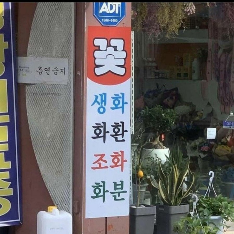 읽기 산박한 간판 - 에누리 쇼핑지식 자유게시판