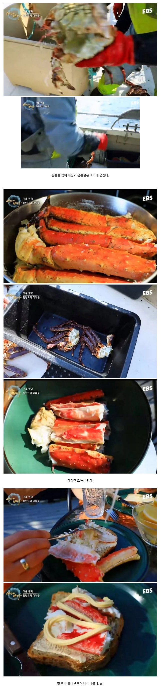 핀란드식 킹크랩 요리 - 에누리 쇼핑지식 자유게시판