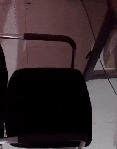 완벽 은폐냥 - 에누리 쇼핑지식 자유게시판