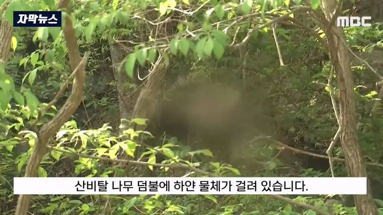 경주시가 동물 사체 불법투기를 경찰에 신고하지 - 에누리 쇼핑지식 자유게시판