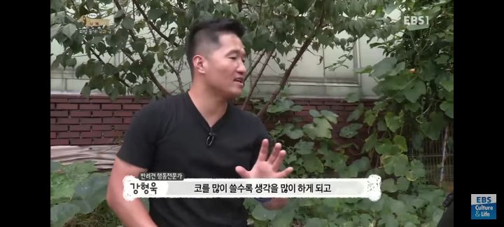 강아지가 꼬리를 움직이는 원리 - 에누리 쇼핑지식 자유게시판