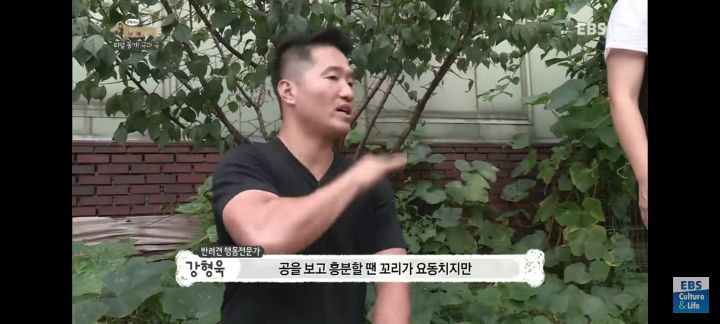 강아지가 꼬리를 움직이는 원리 - 에누리 쇼핑지식 자유게시판