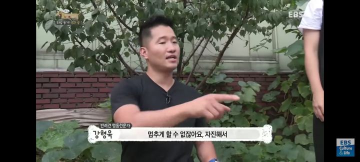 강아지가 꼬리를 움직이는 원리 - 에누리 쇼핑지식 자유게시판