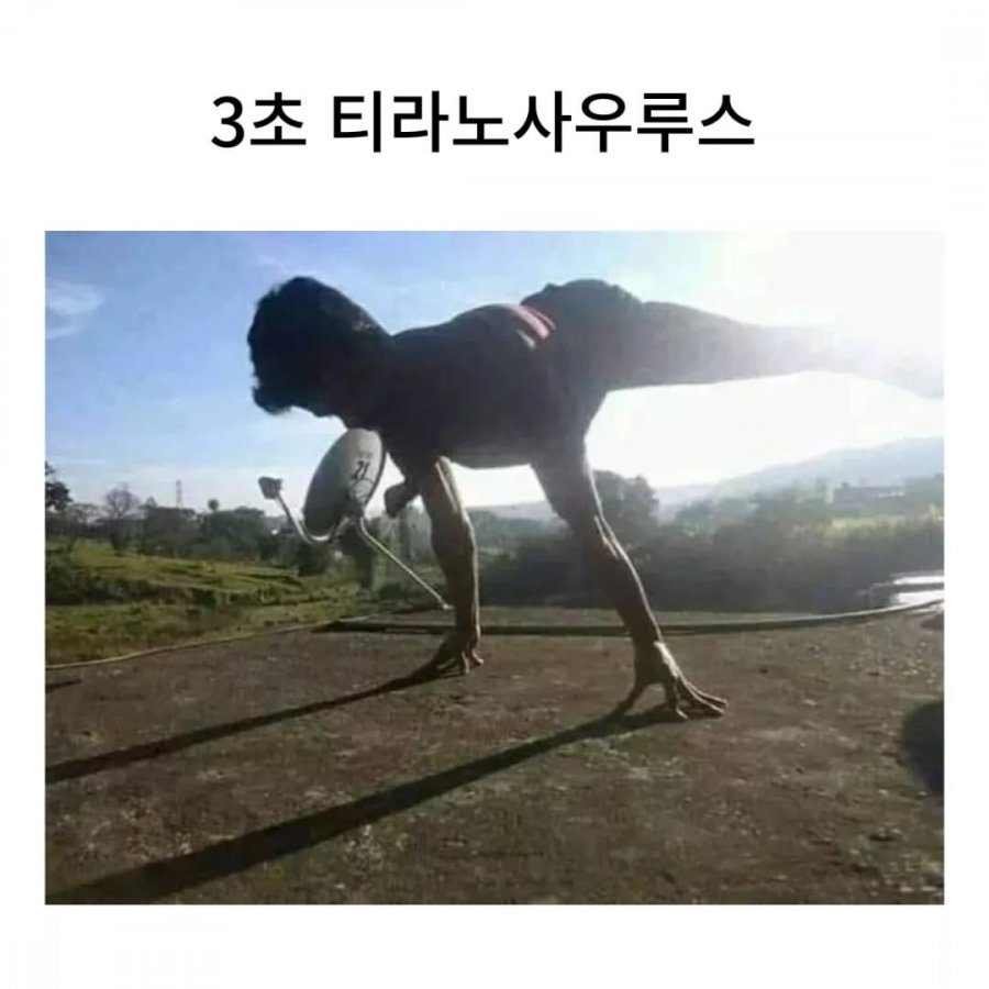 3초 티라노사우르스 - 에누리 쇼핑지식 자유게시판