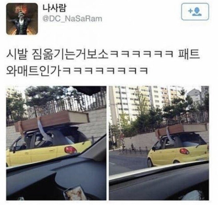 현실판 패트와매트 - 에누리 쇼핑지식 자유게시판