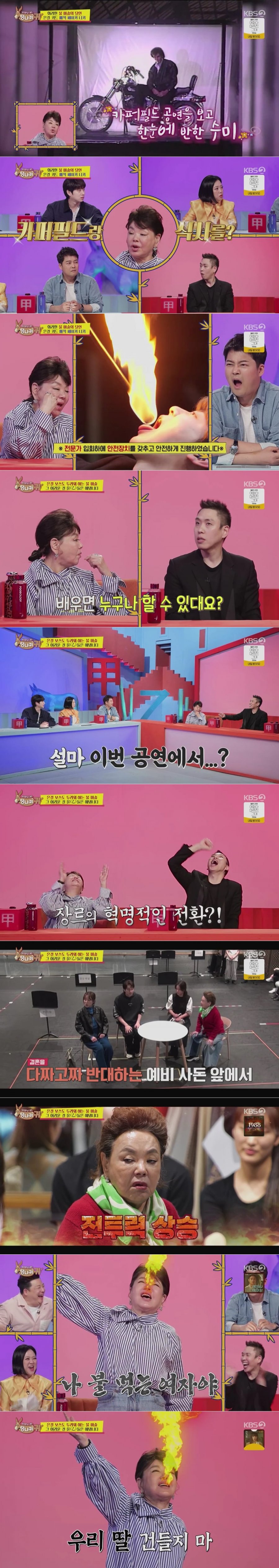 마술에 관심많은 김수미 - 에누리 쇼핑지식 자유게시판