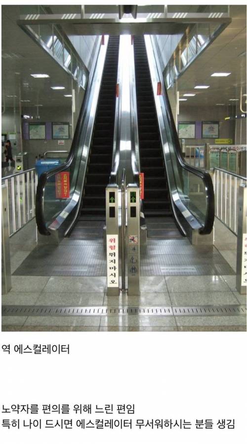 의외로 한국에서 느린 것 - 에누리 쇼핑지식 자유게시판