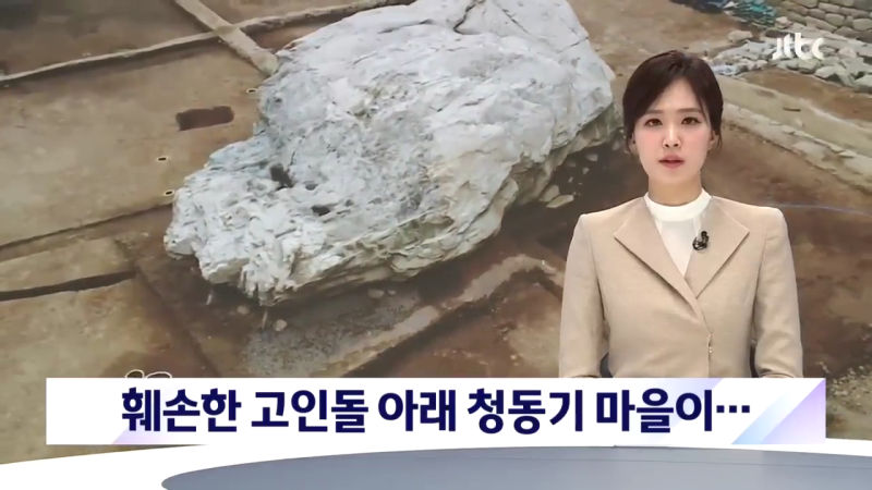 김해시가 공원 만들겠다며 훼손하던 세계최대 고 - 에누리 쇼핑지식 자유게시판