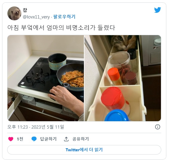 아침 부엌에서 엄마의 비명소리가 들렸다 - 에누리 쇼핑지식 자유게시판