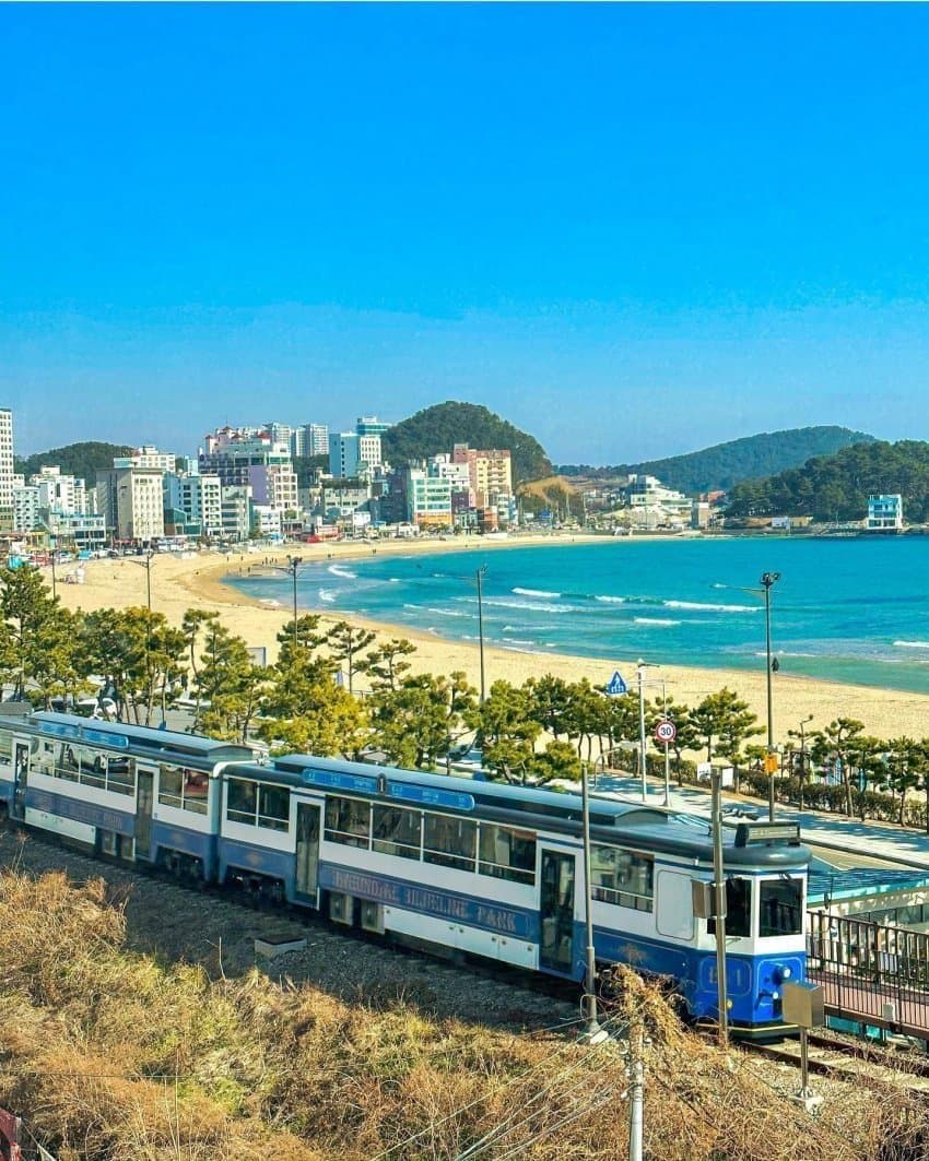 해수욕장마다 분위기가 다 다르다는 부산 해수욕 - 에누리 쇼핑지식 자유게시판