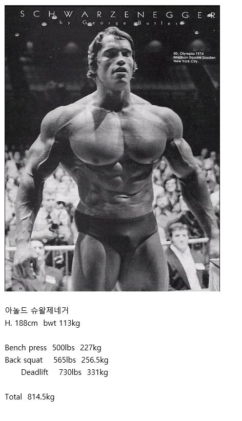 아놀드 슈워제네거 전성 기 모습 - 에누리 쇼핑지식 자유게시판