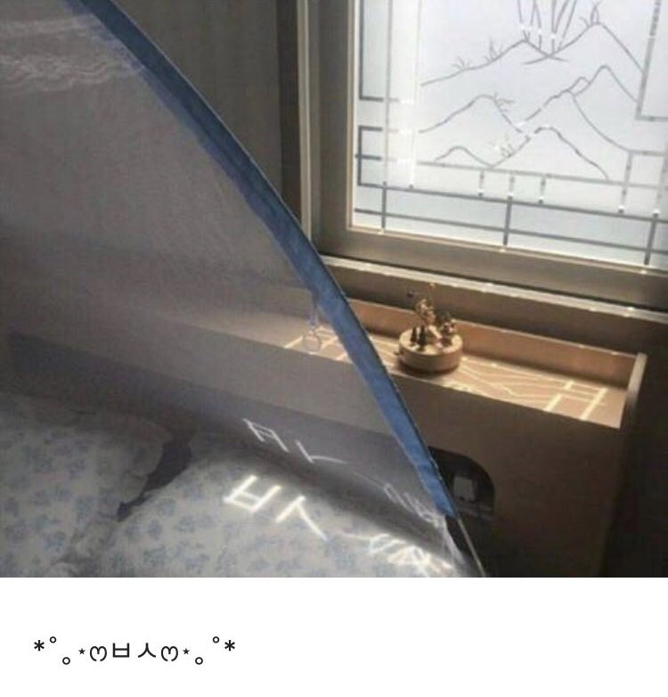 어느날 햇빛이 말을 걸었다 - 에누리 쇼핑지식 자유게시판