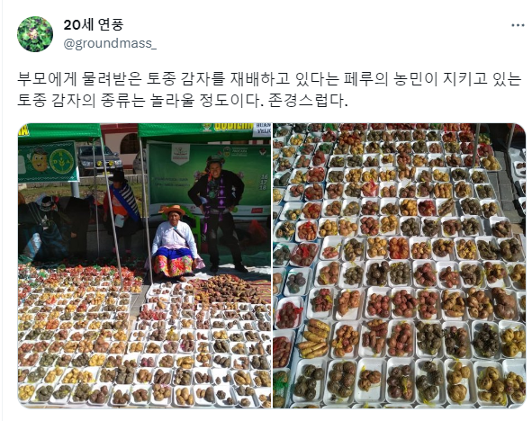 외국에서 감자 살 때 당황하는 이유 - 에누리 쇼핑지식 자유게시판