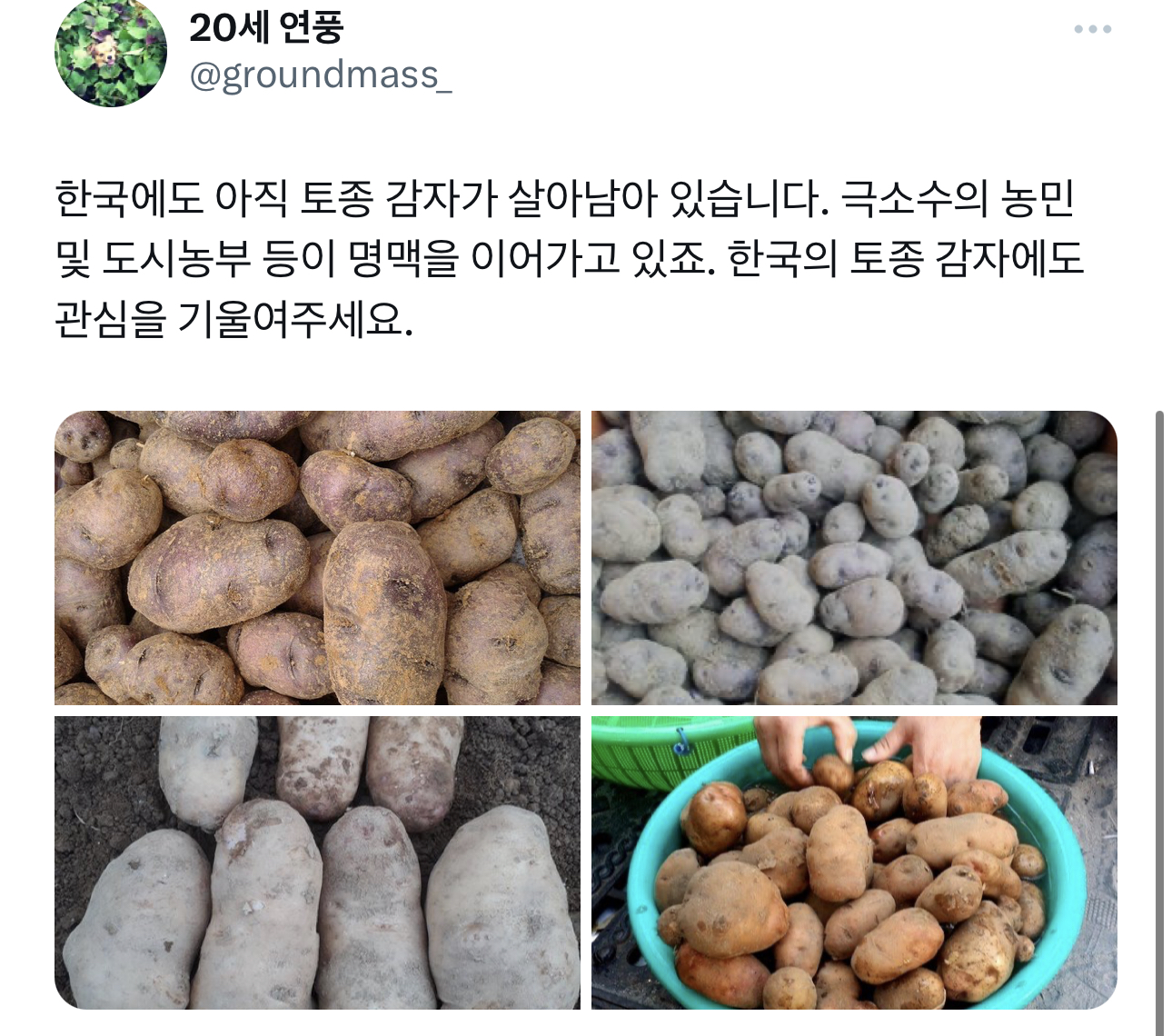 외국에서 감자 살 때 당황하는 이유 - 에누리 쇼핑지식 자유게시판