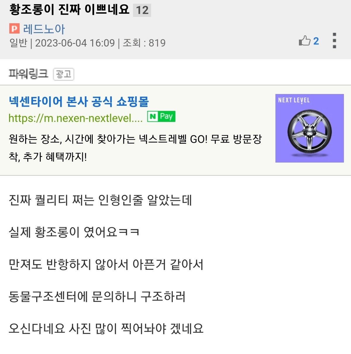 황조롱이 진짜 이쁘네요 - 에누리 쇼핑지식 자유게시판