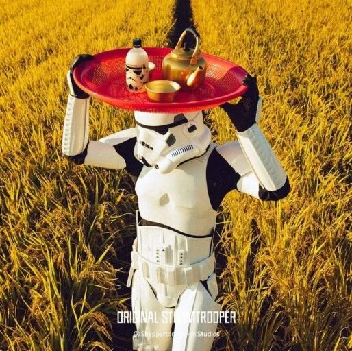 미래의 농촌막걸리 배달 - 에누리 쇼핑지식 자유게시판