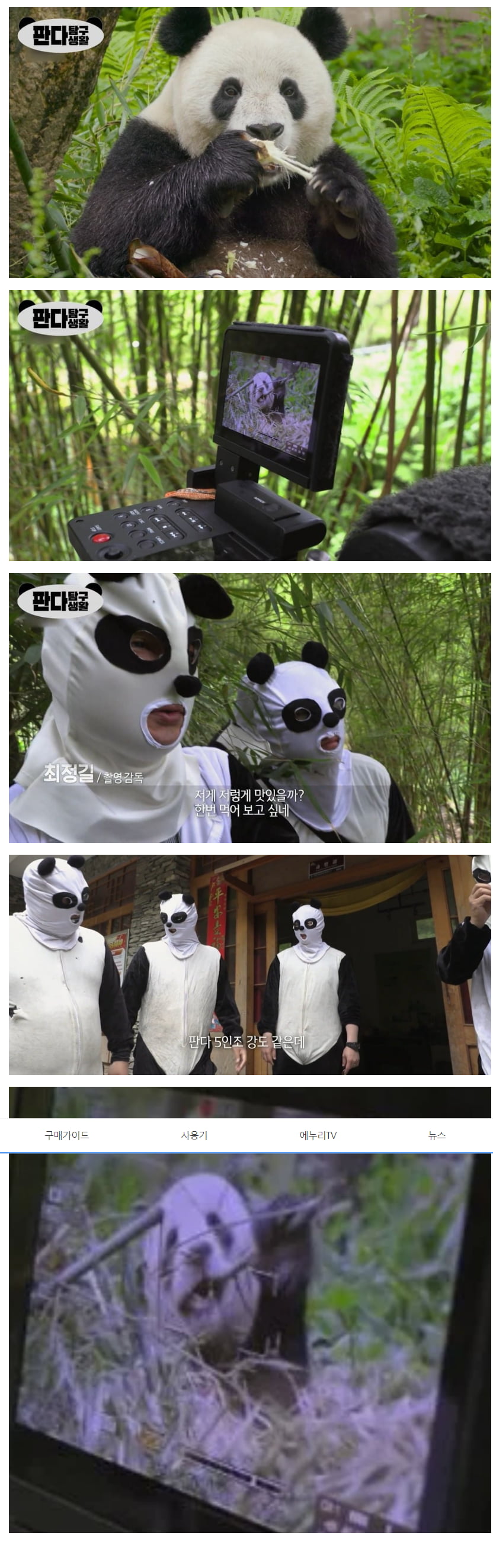 판다 다큐 찍으러 중국에 간 한국 pd들 - 에누리 쇼핑지식 자유게시판