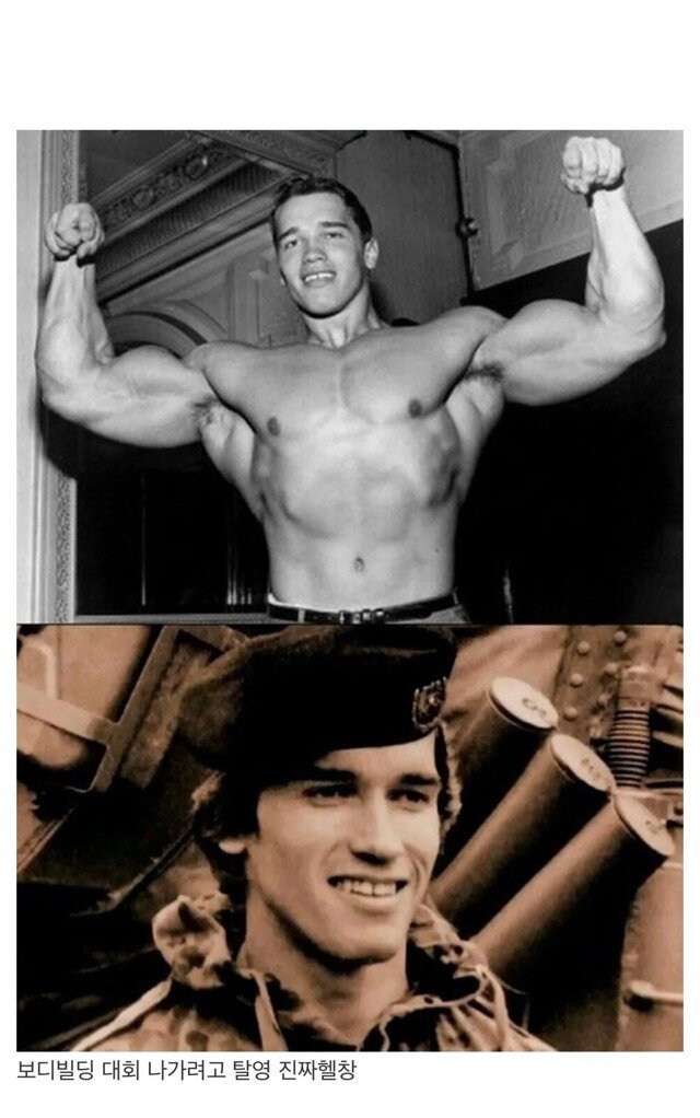 진짜 헬창의 광기 - 에누리 쇼핑지식 자유게시판