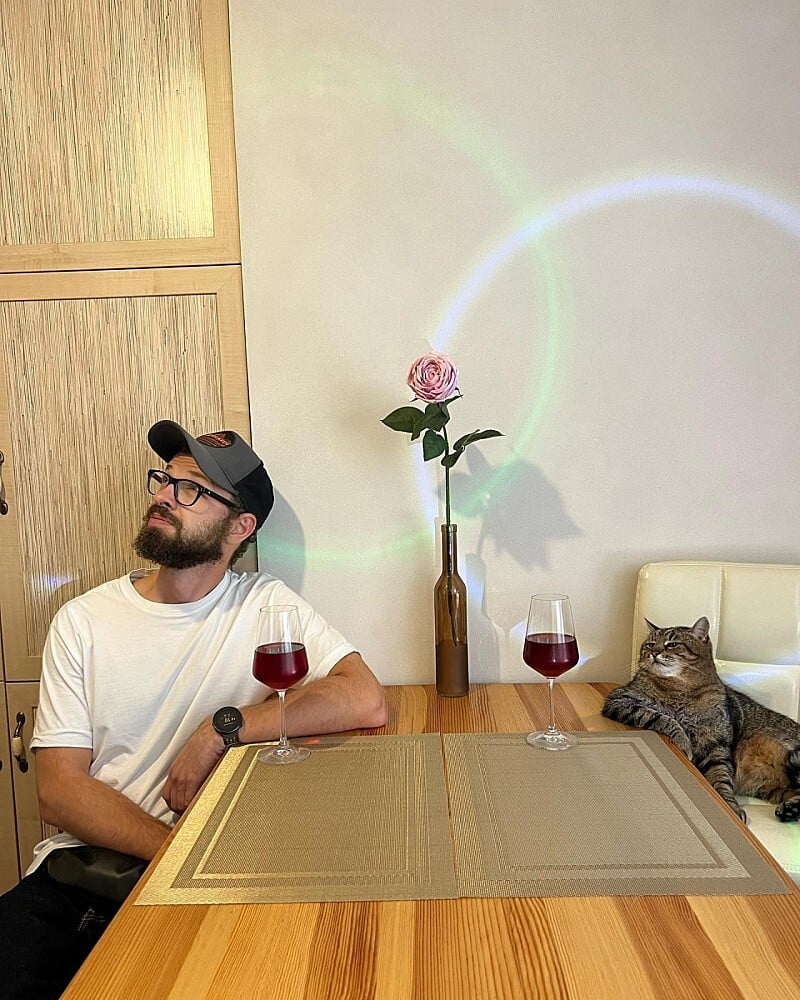 인스타그램에 최적화된 고양이 - 에누리 쇼핑지식 자유게시판