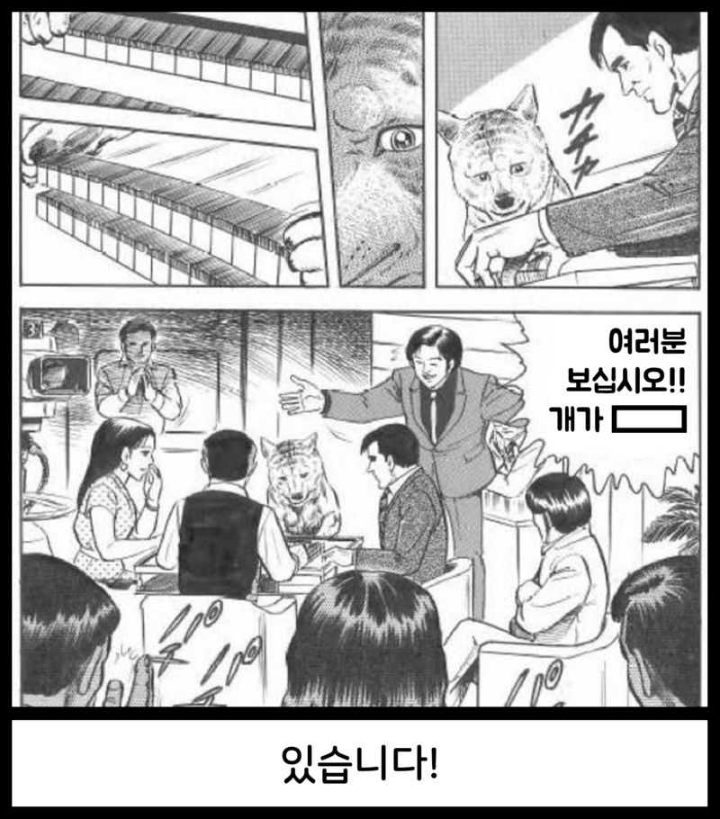 있습니다 에누리 쇼핑지식 자유게시판