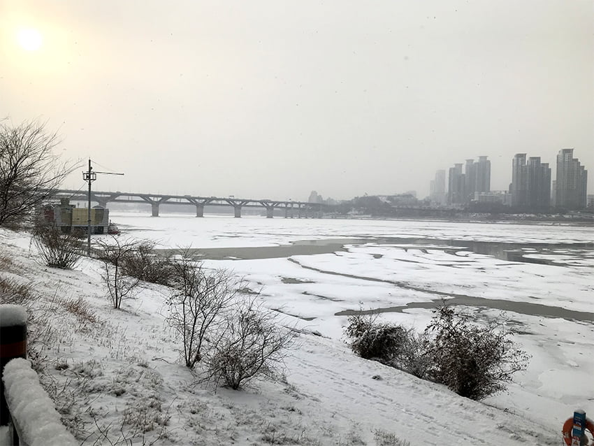 조금만 버티면 다가올 미래 - 에누리 쇼핑지식 자유게시판