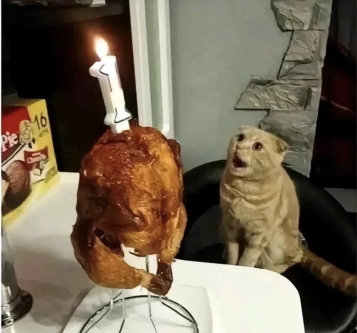 생일 케익 보고 입이 떡 벌어진 냥이 - 에누리 쇼핑지식 자유게시판