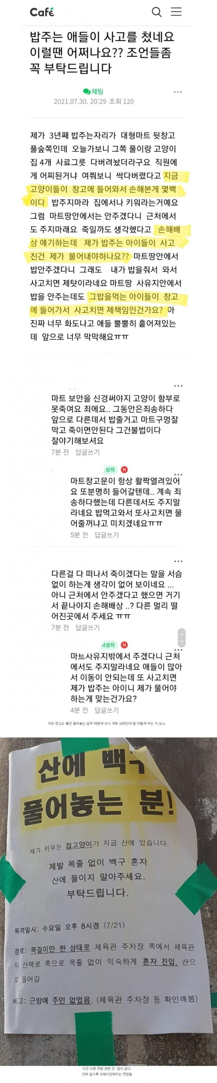 어메이징한 캣맘 - 에누리 쇼핑지식 자유게시판