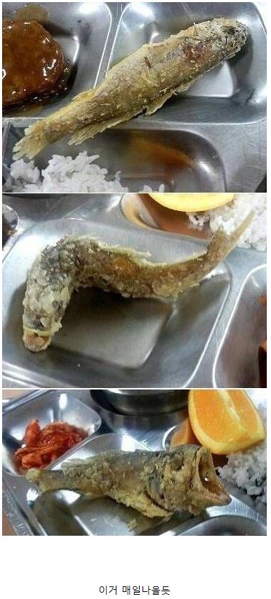 당분간 나올예정인 군대식단 - 에누리 쇼핑지식 자유게시판