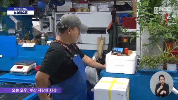 충격적인 자갈치 시장 근황 - 에누리 쇼핑지식 자유게시판